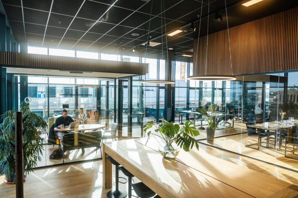 Startup Story: VisioLab